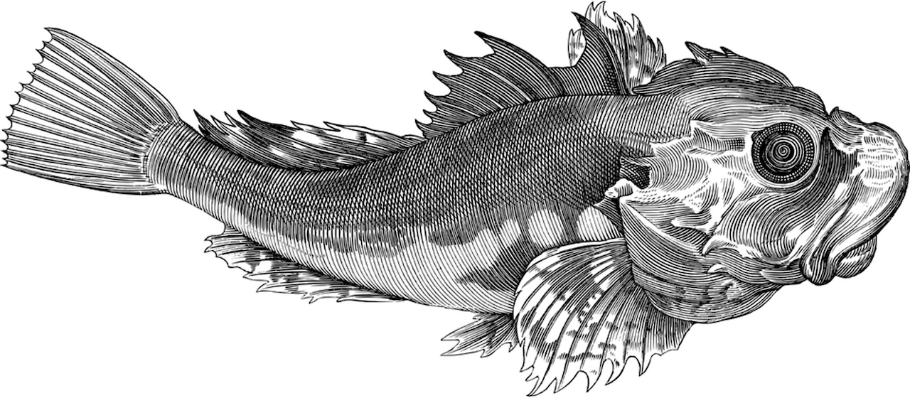 Another Terrible Fish – Linda's Literary Home