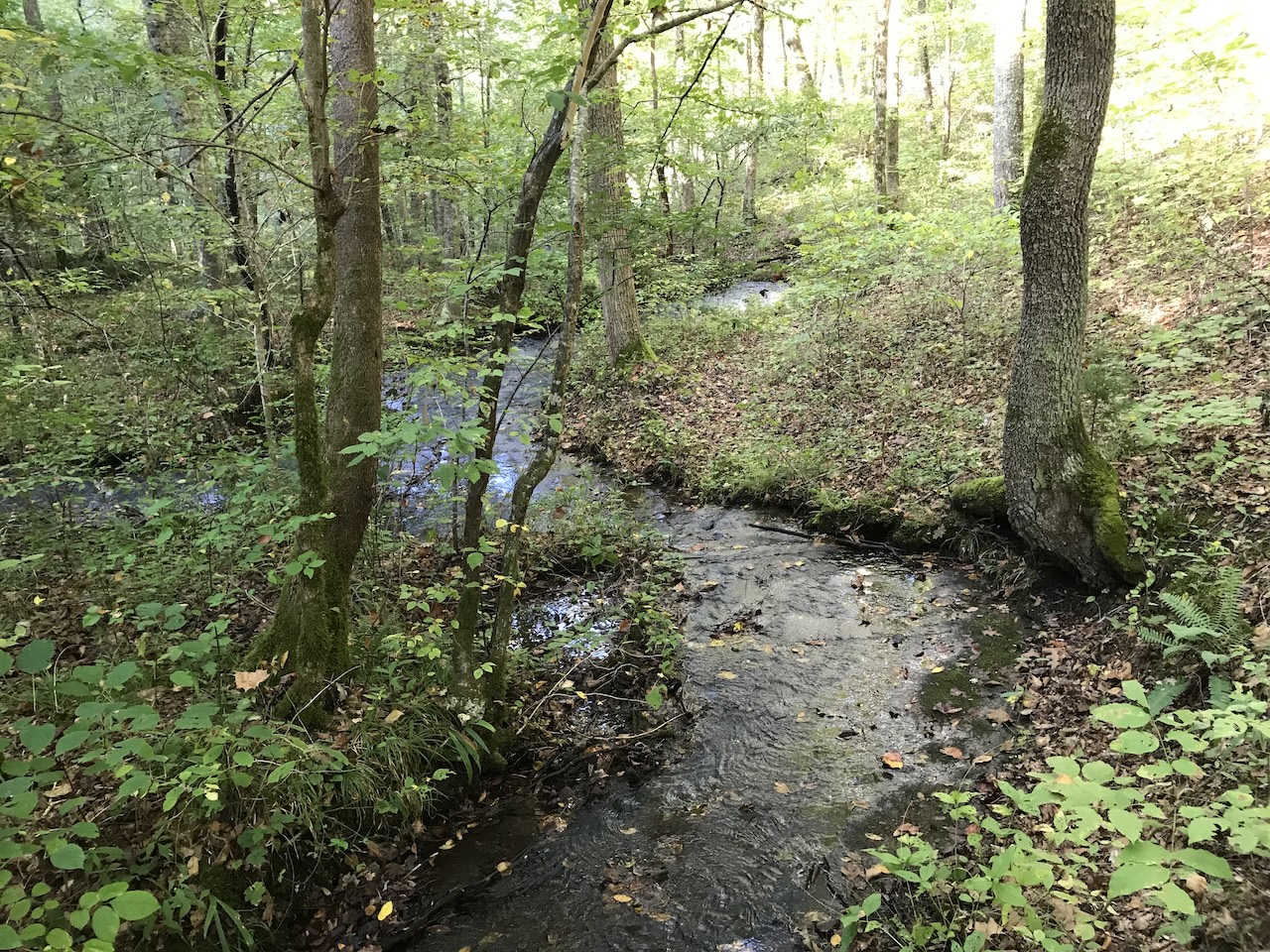 A Sacred Act – Linda's Literary Home